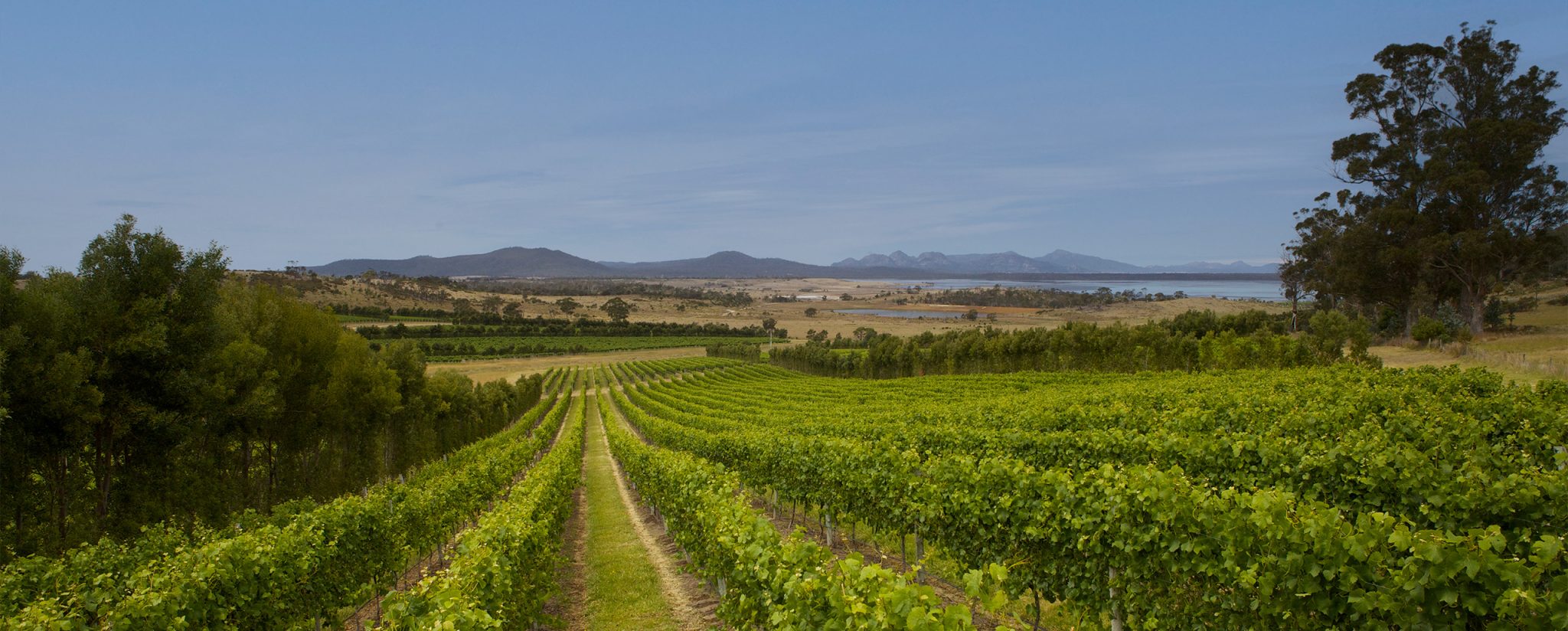 East Coast Wine Trail